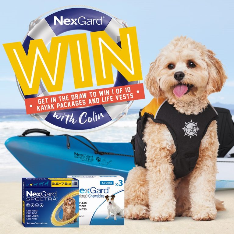 View Our Work - Boost Promotions